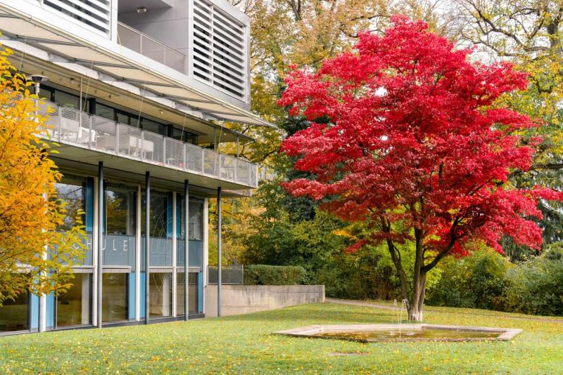 Entdecken Sie jetzt den MCI Campus! - MCI Innsbruck