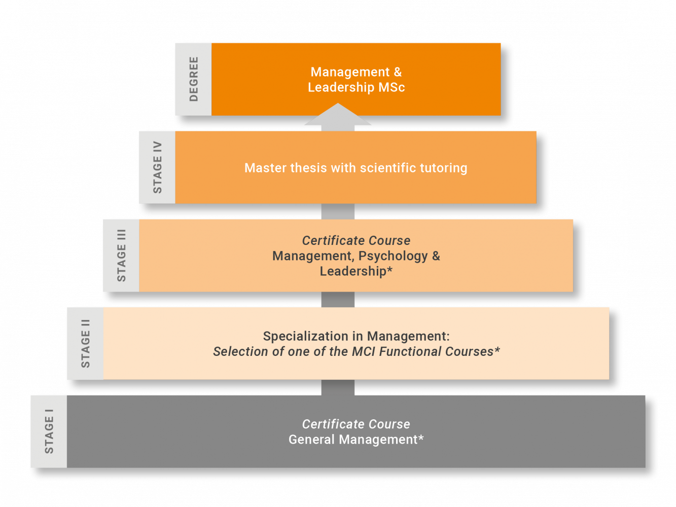 Management & Leadership MSc | MCI Management Center Innsbruck