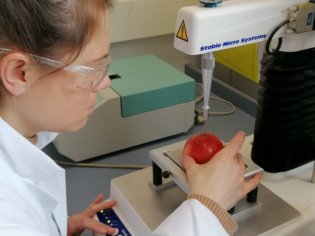 News Food Science & Biotechnology - MCI Innsbruck