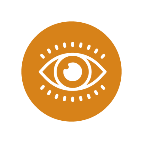 Electives - MCI Innsbruck